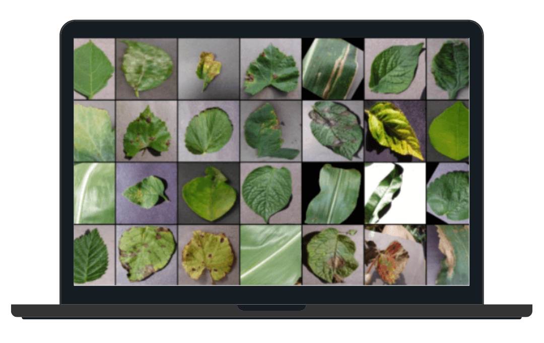 S0umyajit | Portfolio